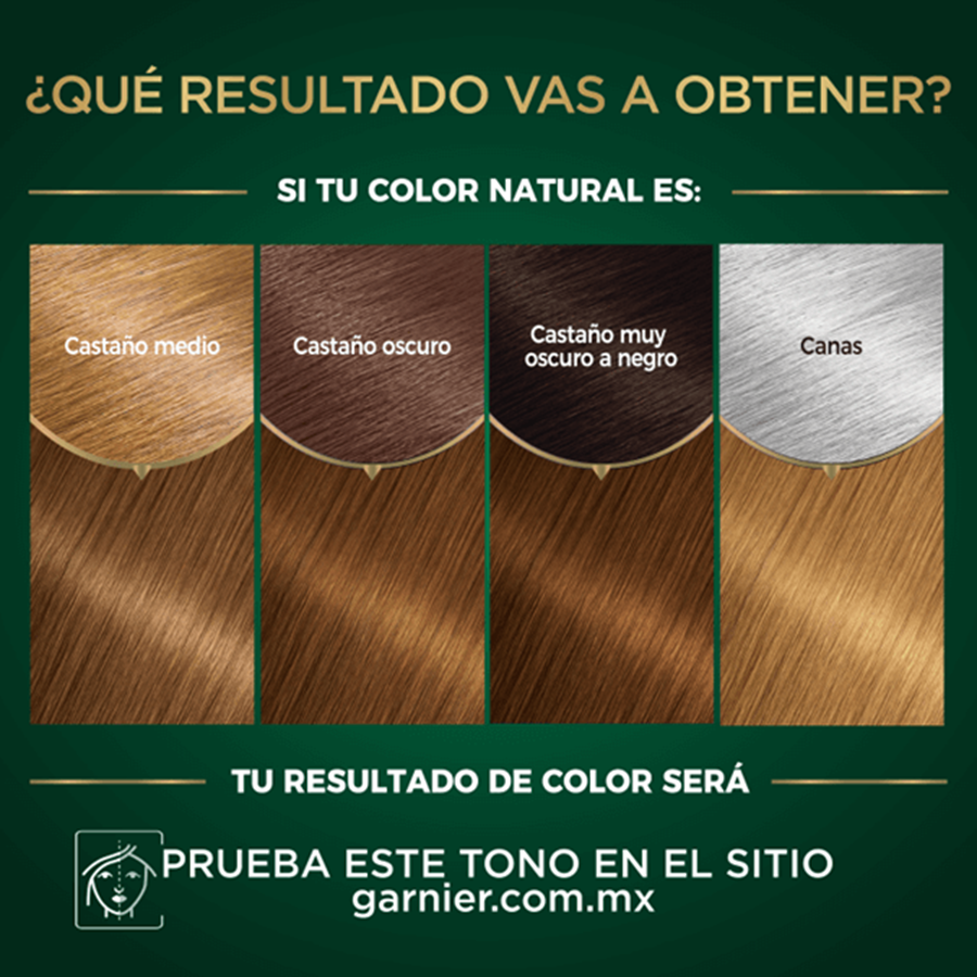 Nutrisse Óleos Tono 7.3 Rubio Dorado | Tinte nutritivo y radiante