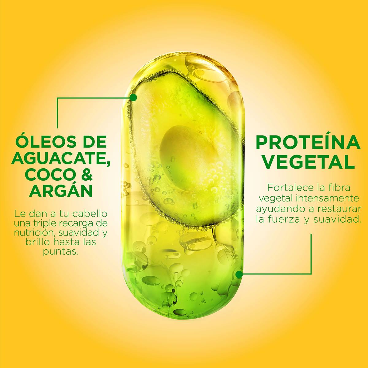 Shampoo Recarga Nutritiva 350ml: Vitalidad para tu Cabello