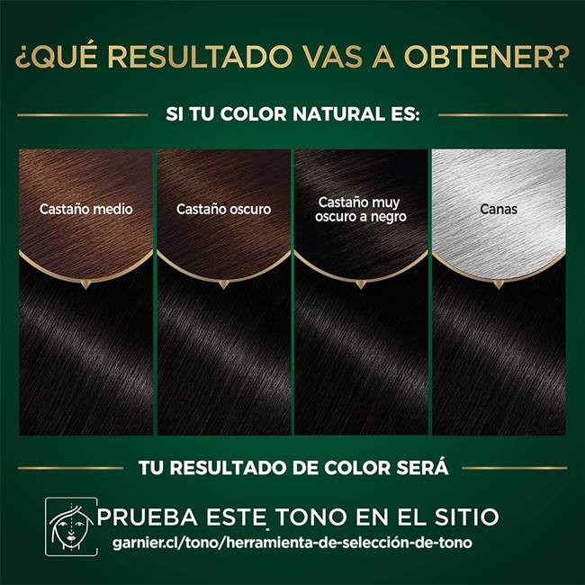 Nutrisse Oleos sin amoníaco castaño oscuro 3.0, Garnier Chile
