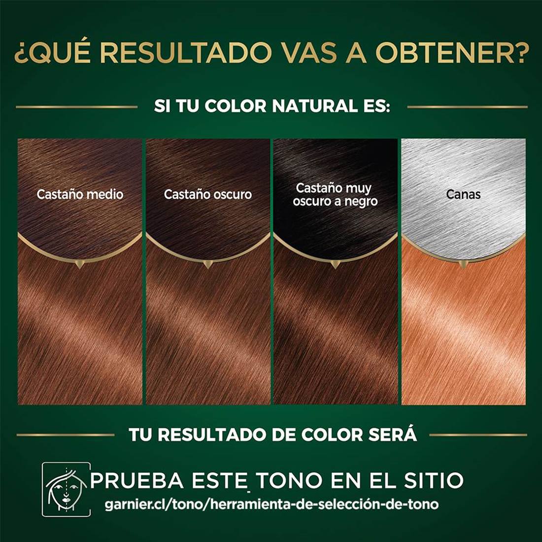 Nutrisse Oleos sin amoníaco rubio dorado 7.35, Garnier Chile